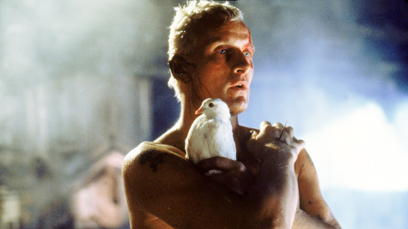 Historien bag ’Blade Runner’: Fra massivt flop til mesterværk med ...