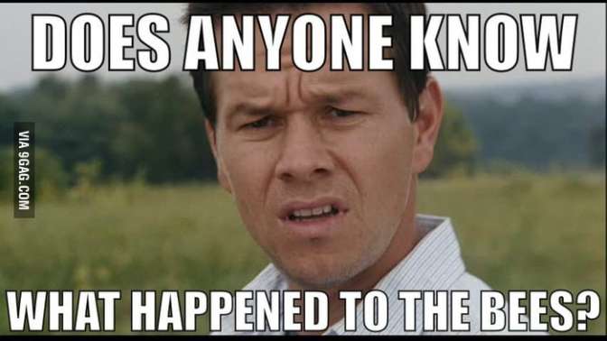 Jeg gav 00’ernes dårligste film fem stjerner – det har forfulgt mig ...