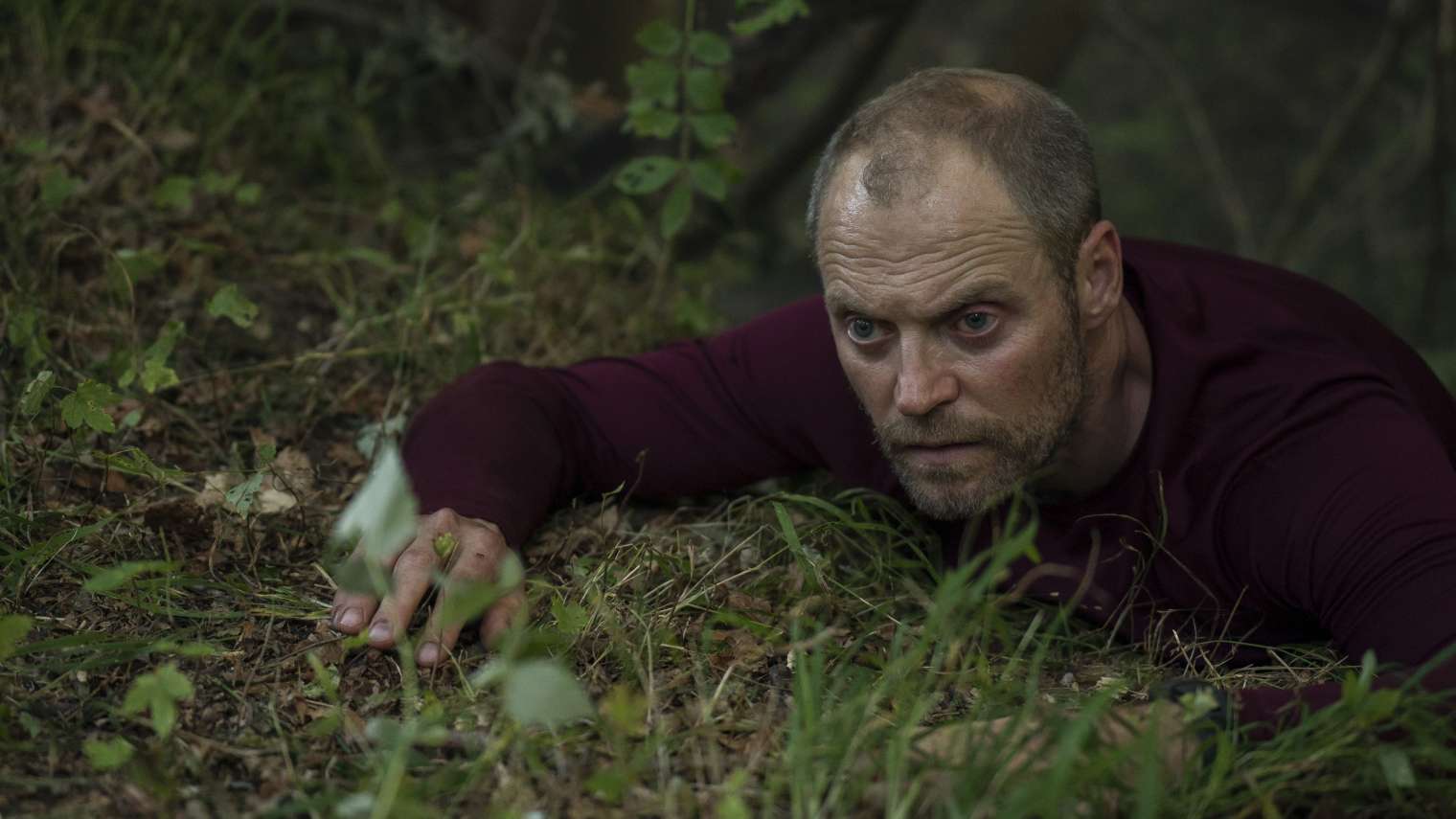 ’Oxen’: Da Birgitte Hjort Sørensen træder ind i TV 2’s nye ...