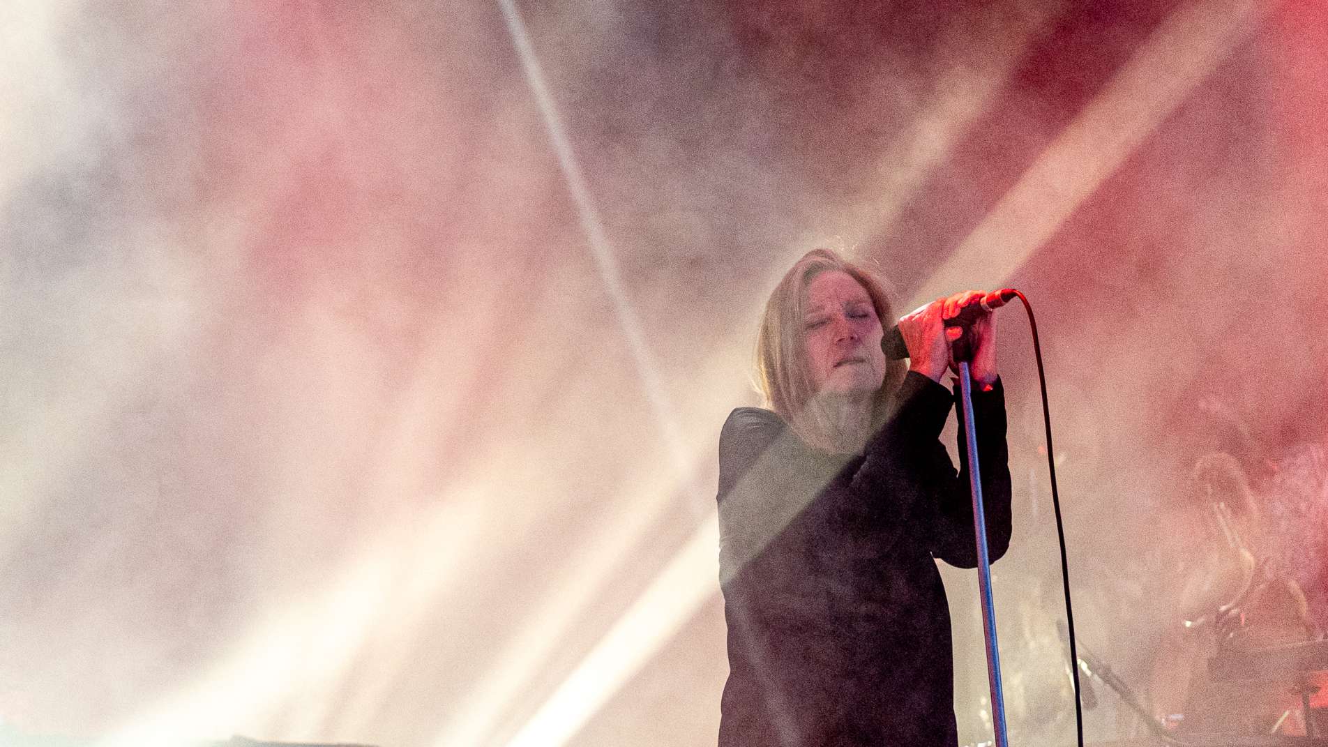 Lineuppet til Brian Enos Palæstina-koncert bliver vildere og vildere ...